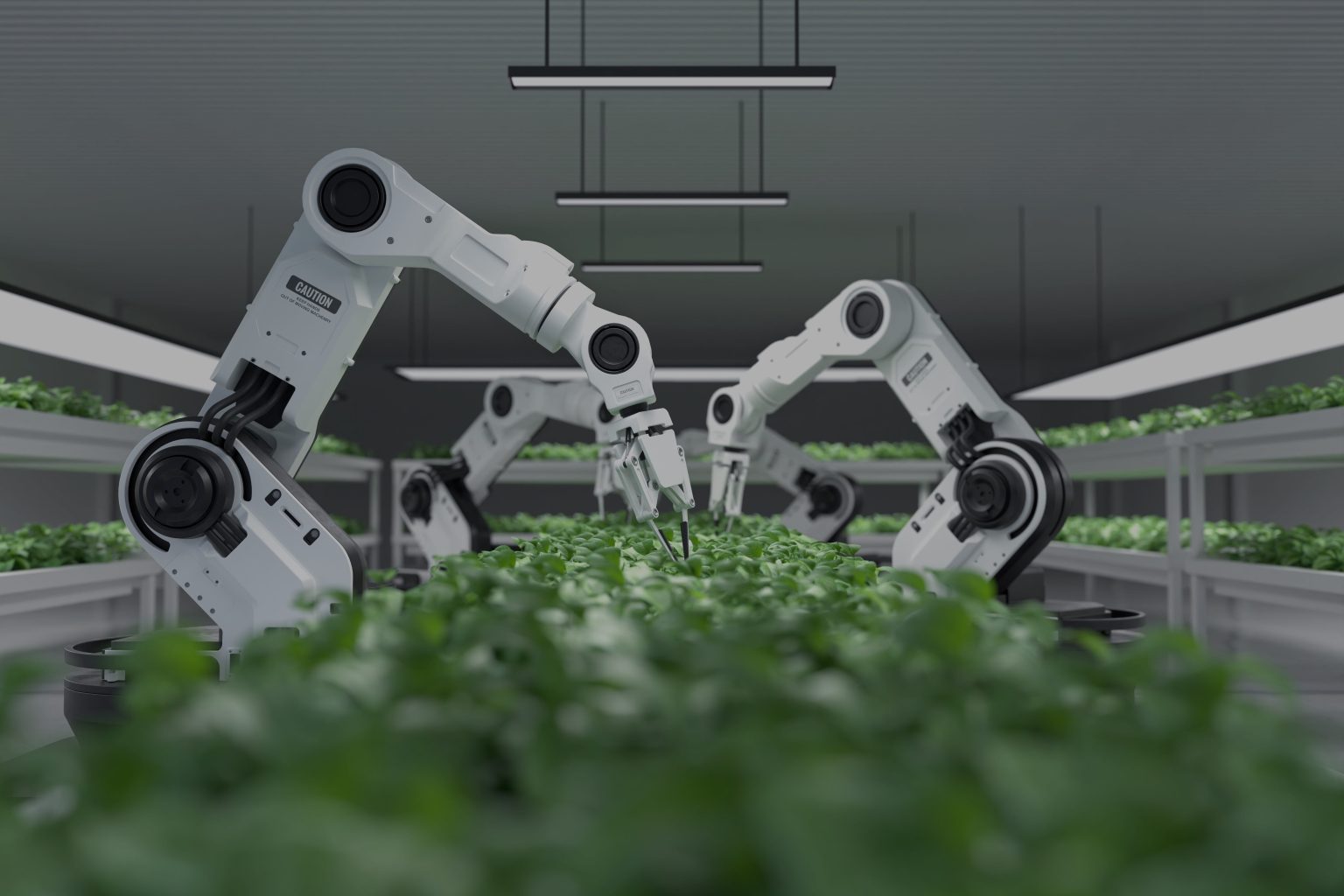 The best IoT connectivity for robotics | KPN IoT | KPN IoT