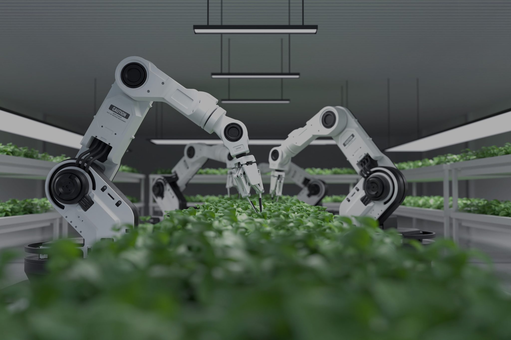 The best IoT connectivity for robotics | KPN IoT | KPN IoT