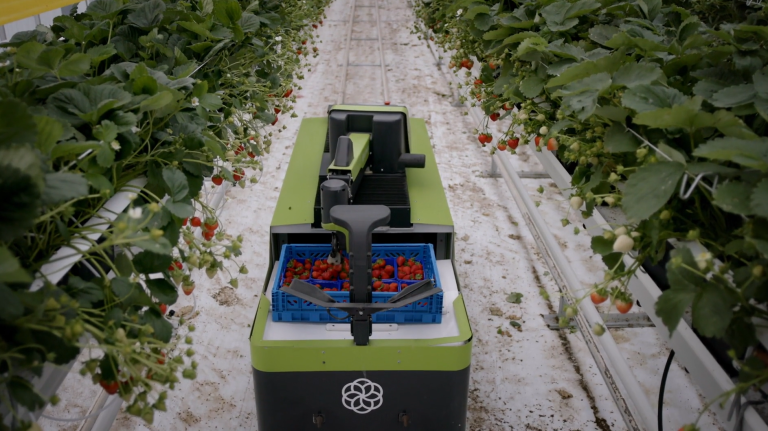 Octiva horticultural robots connected by KPN IoT | KPN IoT